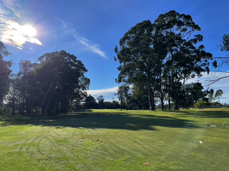 Torpid Gallery - North Turramurra 2024
